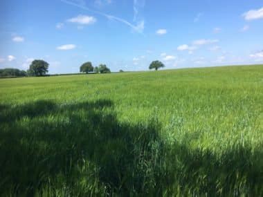 Wars Of the Roses Part 2 – Stokes Field – Steve’s Hobby Blog